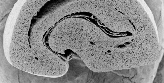 Amarey | Italian Regenerative Ingredients